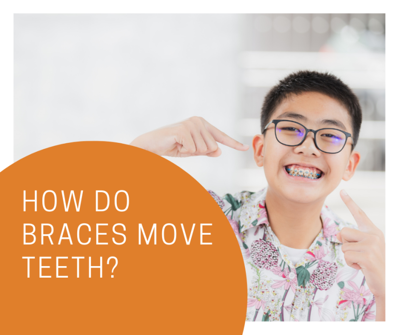 News and Reviews | Borders Orthodontics